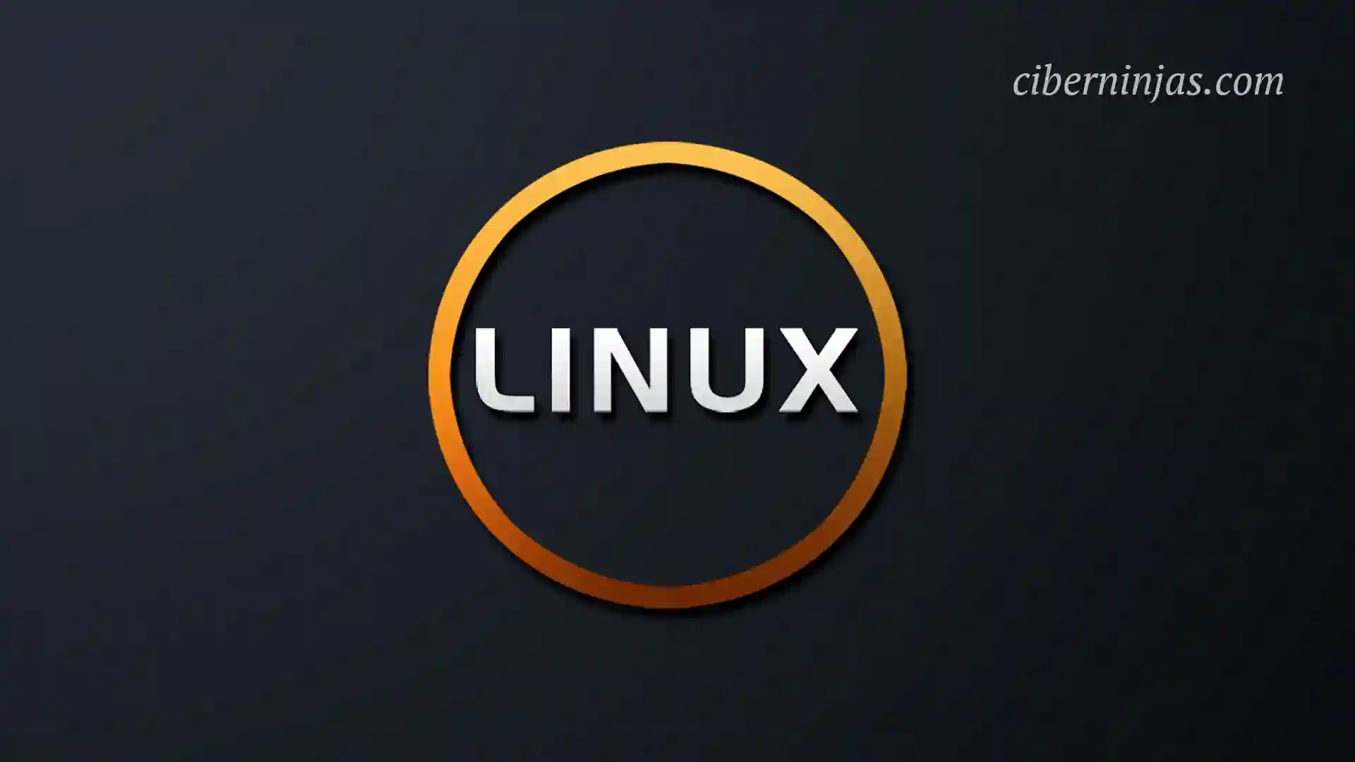 Cómo comprobar el nombre de Linux y la versión del Kernel | Tutoriales ...