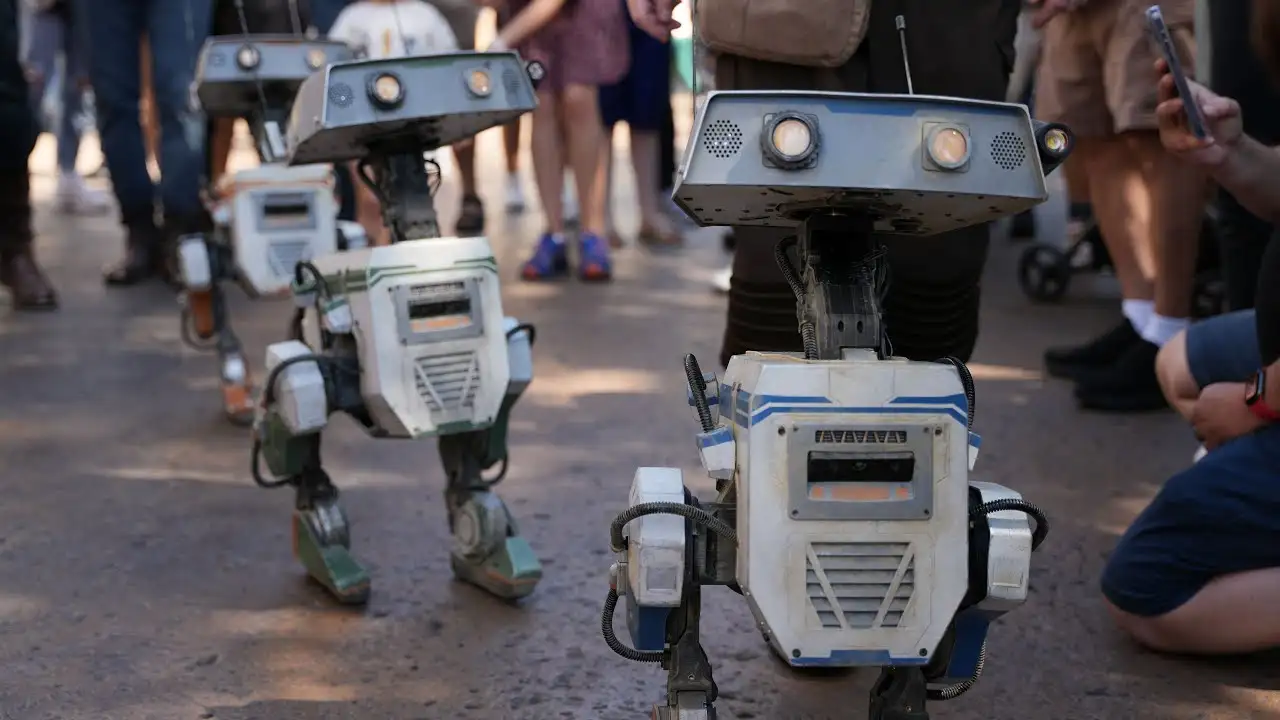 Conoce los Robots Droid RBX | Robótica | CIBERED