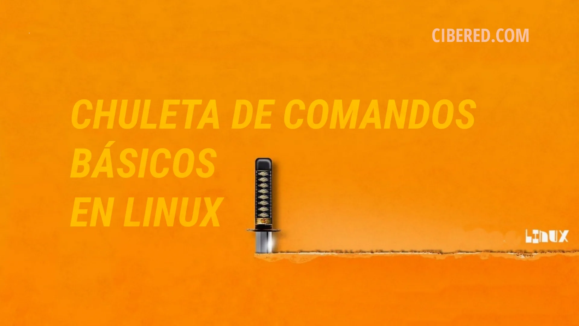Cómo usar el Comando LESS en Linux | Tutoriales de Tecnología | CIBERED